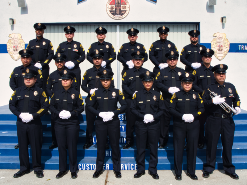 Careers – Probation